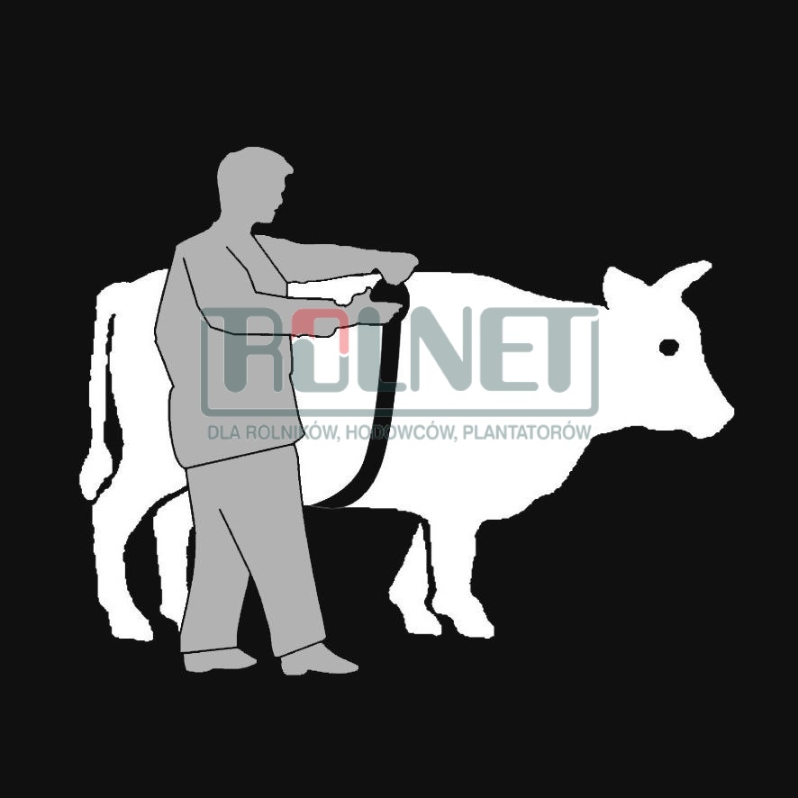 Miara zoometryczna byki, miara zoometryczna trzoda do obserwacji ...